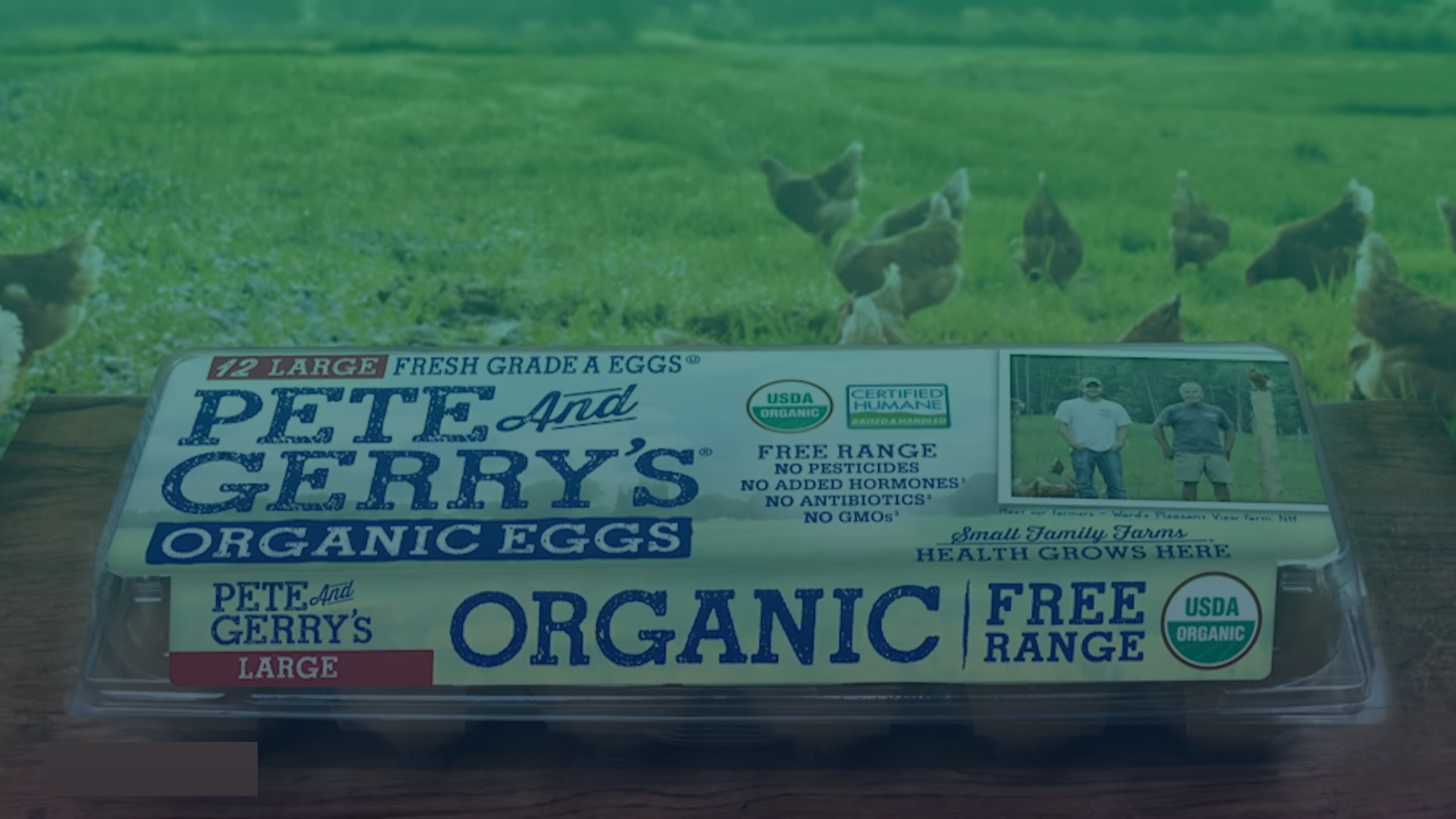 How Butterfly Equity Boosts Pete & Gerry's Organic Eggs Success